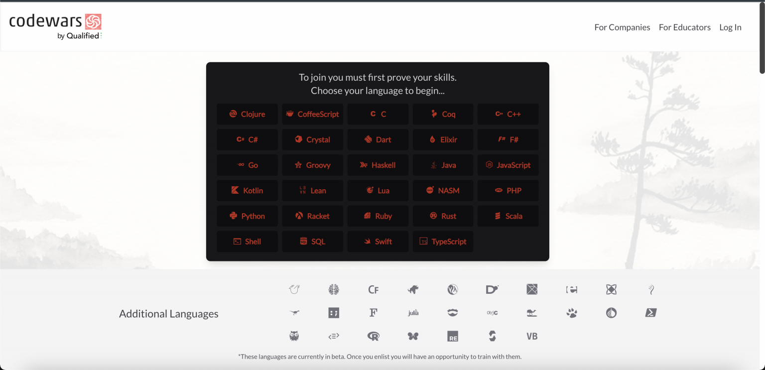 Codewars vs HackerRank | Which Will Make You A Better Programmer?